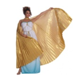 ACCESS: Cape, Gold Wings – Woodbridge Costume Rentals