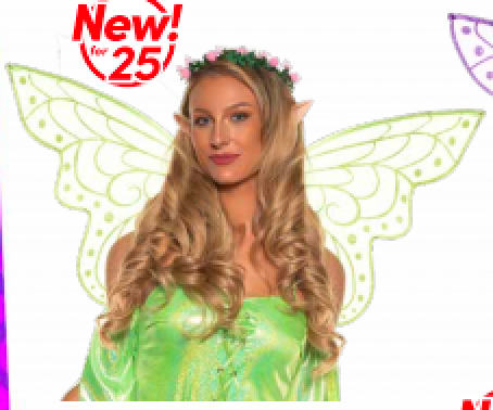 ACCESS: Green Fairy Accessory Kit – Woodbridge Costume Rentals